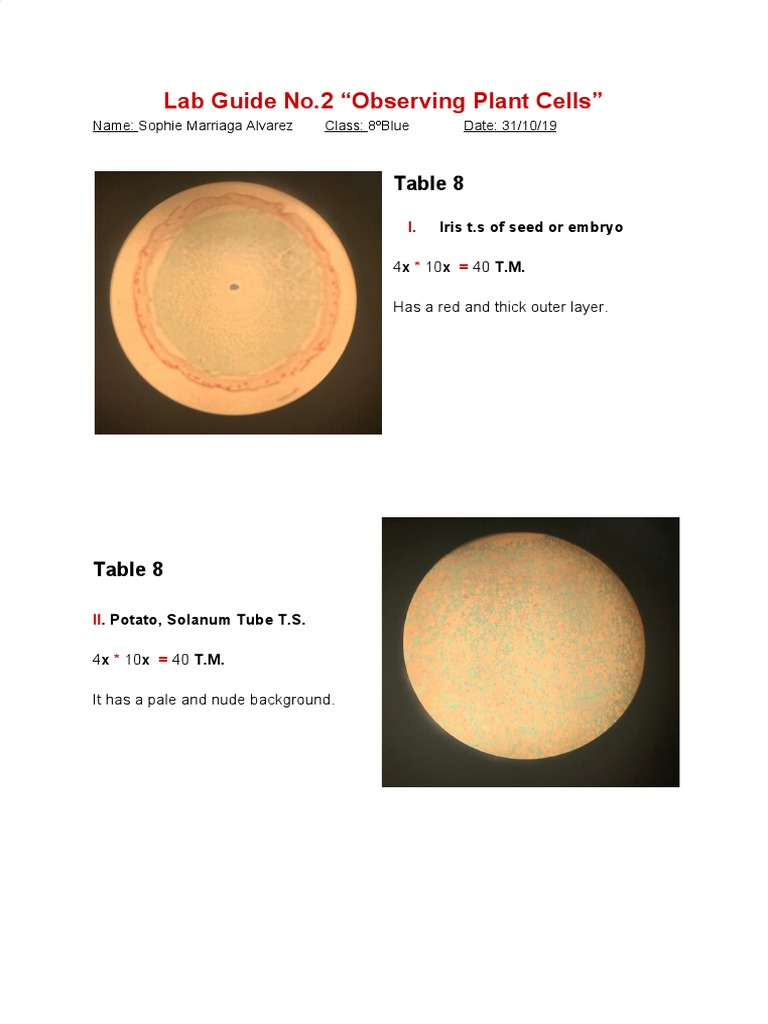 Lab Guide No.2 "Observing Plant Cells": Table 8 | PDF | Branches Of ...