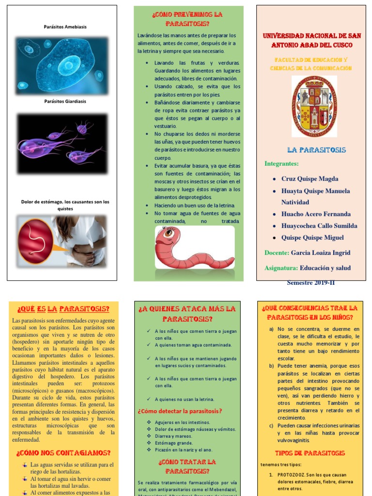 Para - Triptic (1) 12.. | PDF | Diarrea | Epidemiología