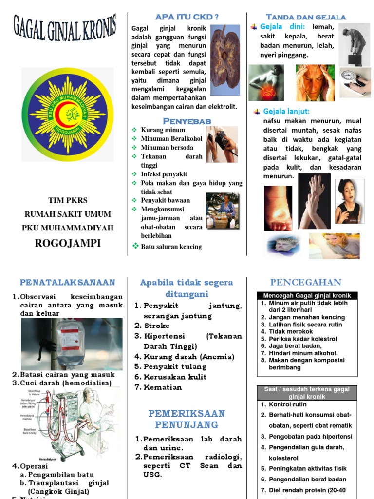 Leaflet CKD | PDF