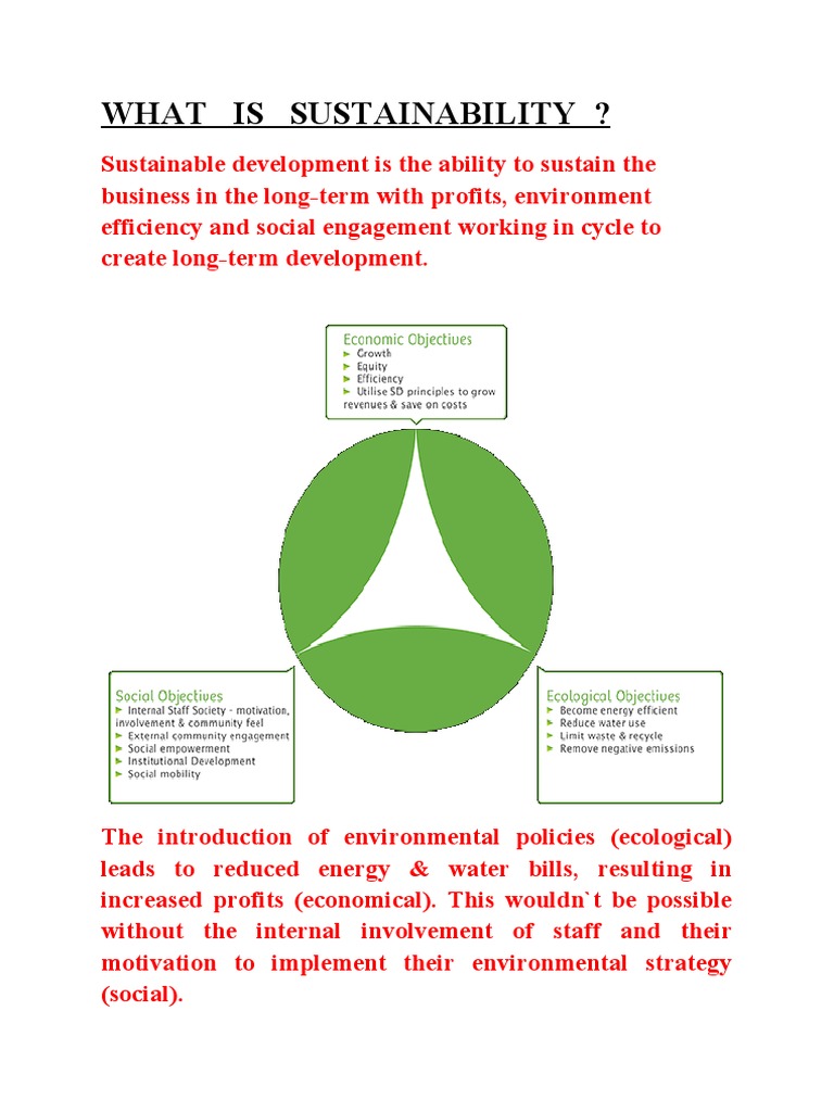 What Is Sustainability | PDF