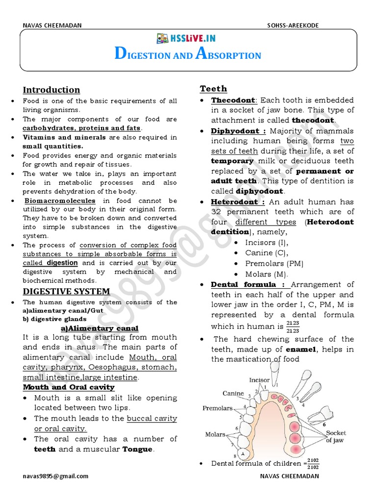 Hsslive XI Zoology 05 Digestion and Asorption | PDF | Stomach | Digestion
