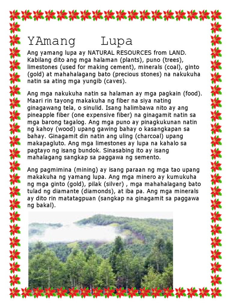 Mga Halimbawa NG Yamang-Lupa | PDF