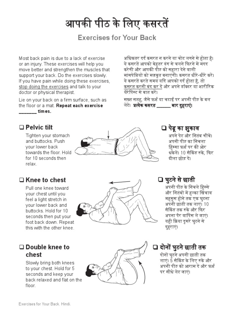 Exercise Low Back | PDF