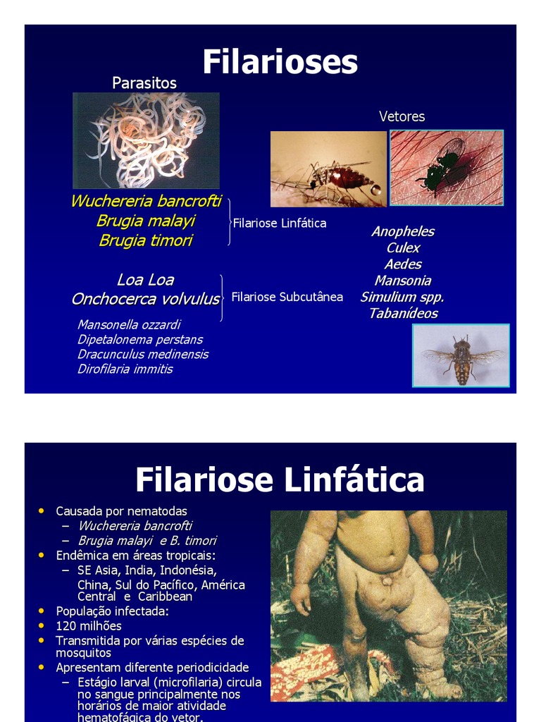 Filariose Linfática: Causas e Tratamento | PDF | Medicina Veterinária ...