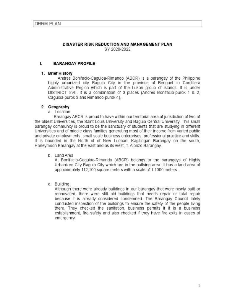BDRRM Plan 2019 | PDF | Hazards | Emergency Management