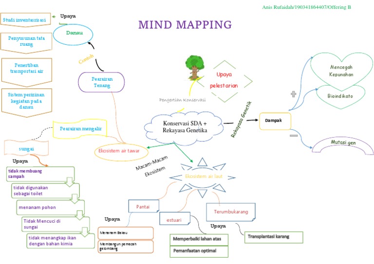 Mind Mapping Ekologi 1 | PDF