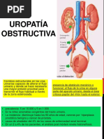 Obstrucción y Estasis Urinaria | PDF | Vejiga urinaria | Urología