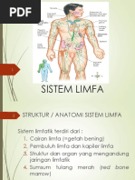 12 Sistem Organ Tubuh Manusia Beserta Gambar Dan Fungsinya | PDF