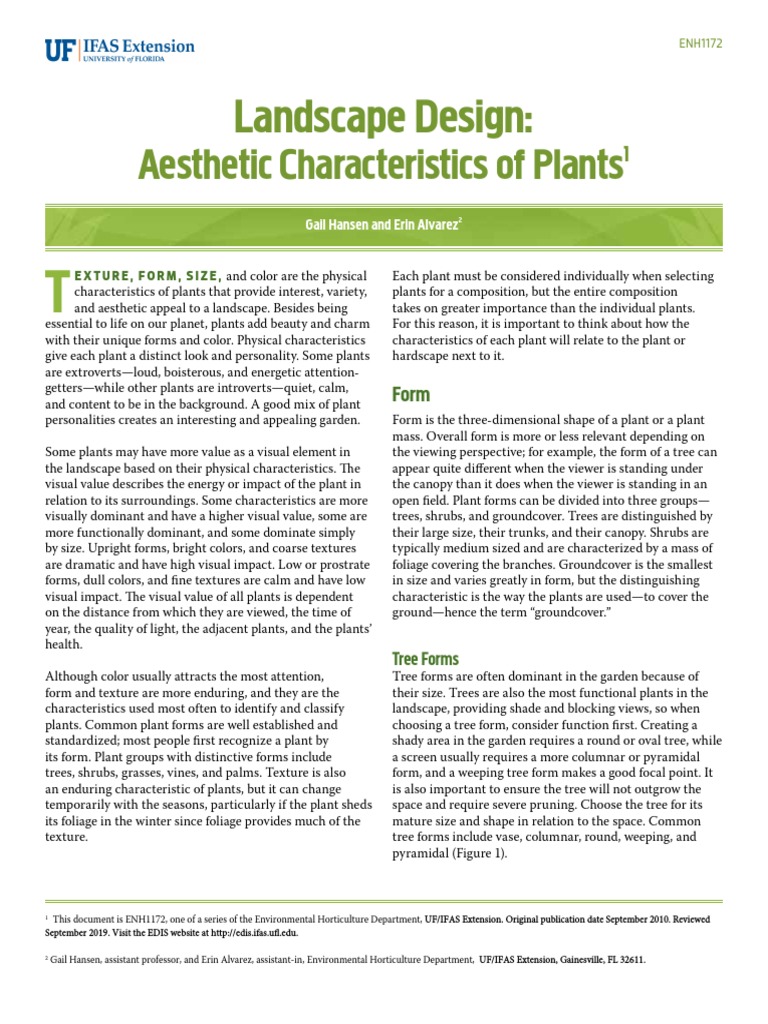 Trees As Visual M Aspect | PDF | Leaf | Composition (Visual Arts)