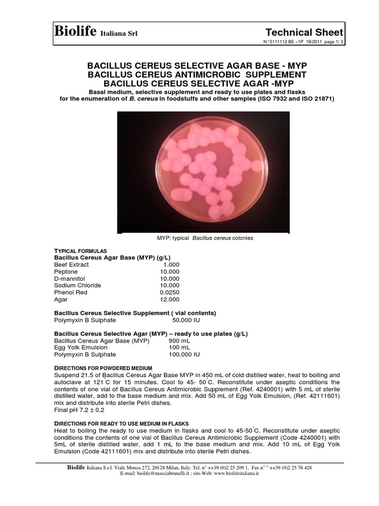 Biolife - Bacillus Cereus Selective Agar Base - Myp - Ts-5111112 | PDF ...