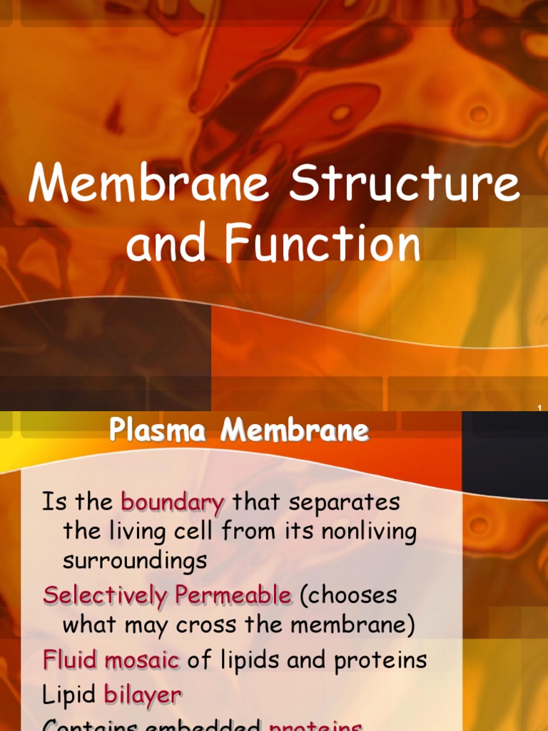 Membrane Structure and Function | PDF | Cell Membrane | Osmosis
