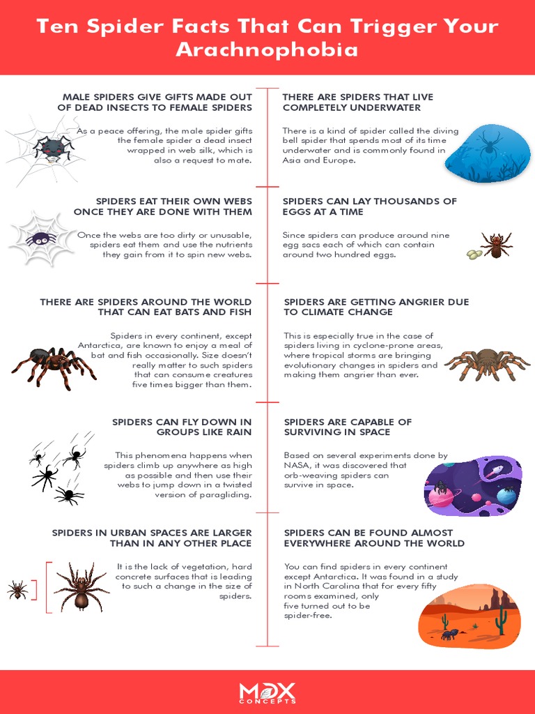 Ten Spider Facts That Can Trigger Your Arachnophobia | PDF | Spider ...