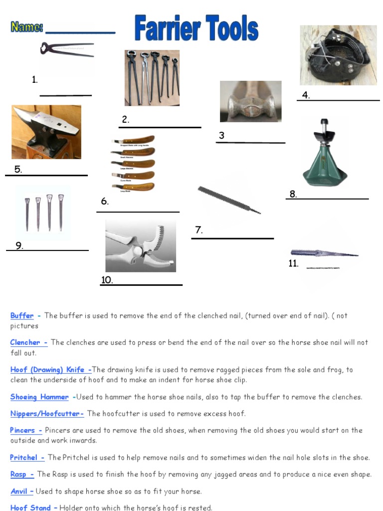 Farrier Tools For Memberv2 | PDF | Shoe | Equus