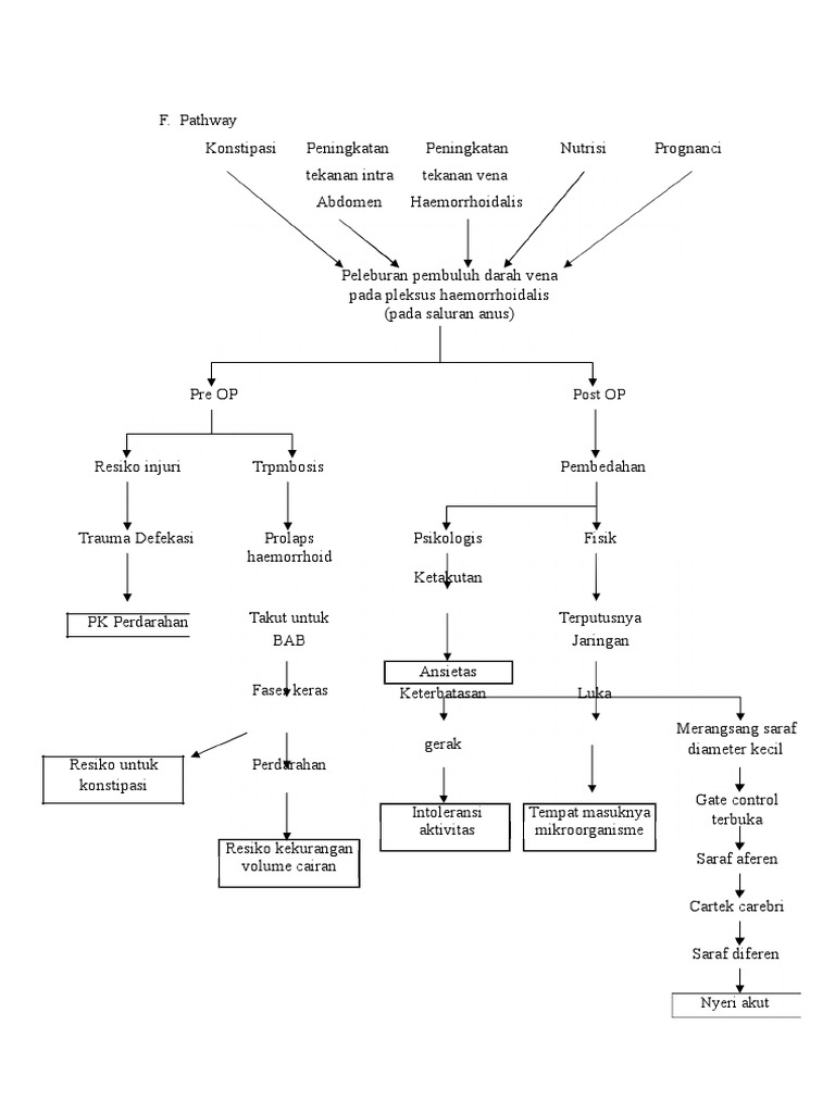 Pathway Hemoroid | PDF