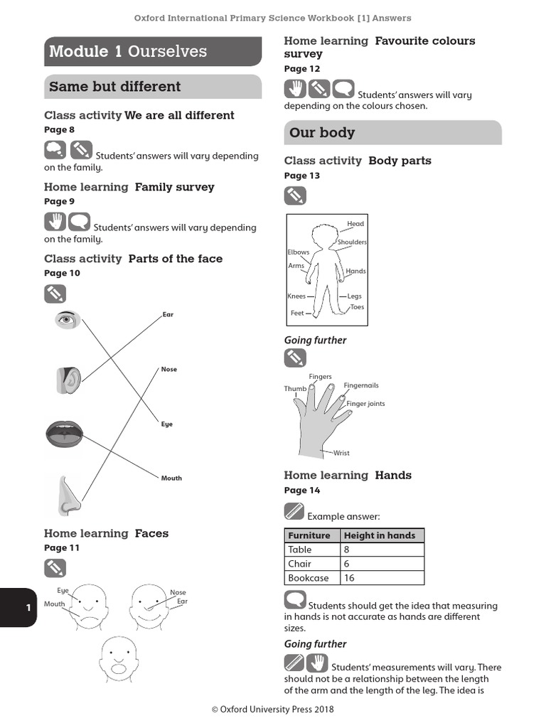 Oips Stage 1 Workbook Answers | PDF | Plants | Trees