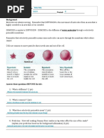 Gummy Bear Dissection Guide | PDF