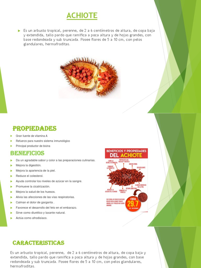 ACHIOTE | PDF
