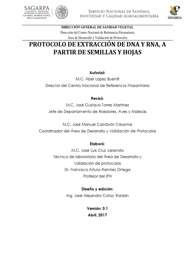 Protocolo de Extracci N de Dna y Rna A Partir de Semillas y Hojas | PDF | Reacción en cadena de ...