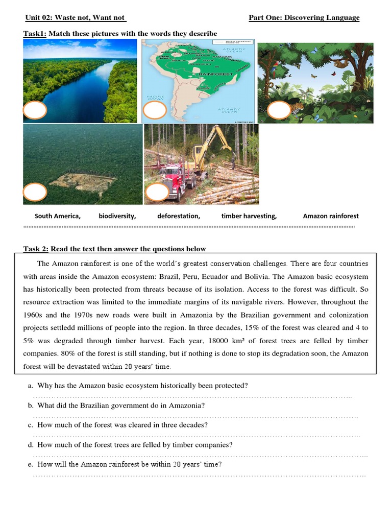 Amazon Rainforest: Conservation Challenges | PDF | Amazon Rainforest ...