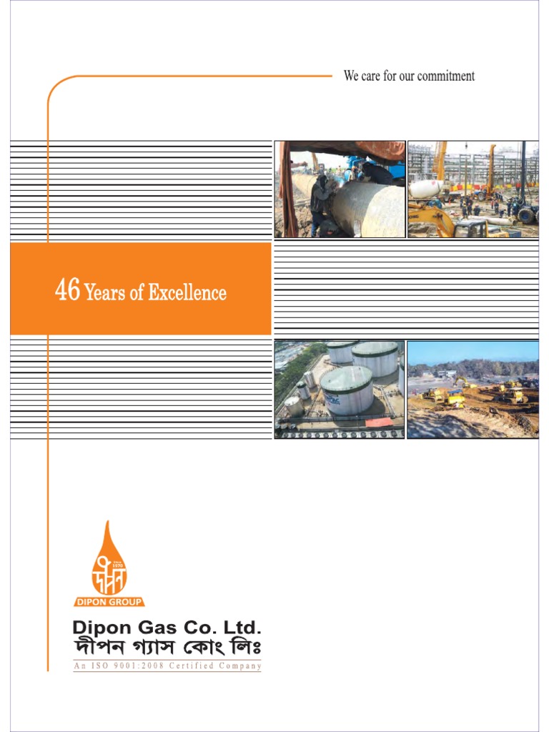 Dipon Gas Co. Ltd. - Company Profile | PDF