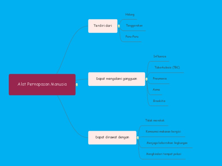 Mind Mapping-Alat Penapasan Manusia | PDF