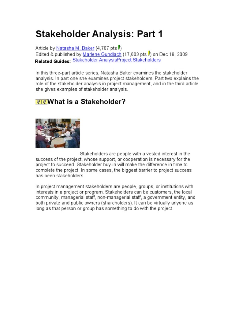 Stakeholder Analysis | PDF | Stakeholder (Corporate) | Project Management