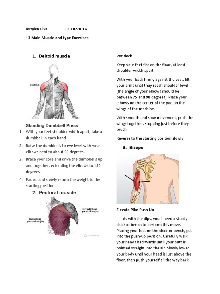 Deltoid Muscle: 13 Main Muscle and Type Exercises | PDF | Anatomical ...
