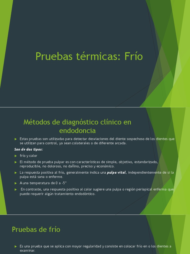 Pruebas Térmicas | PDF
