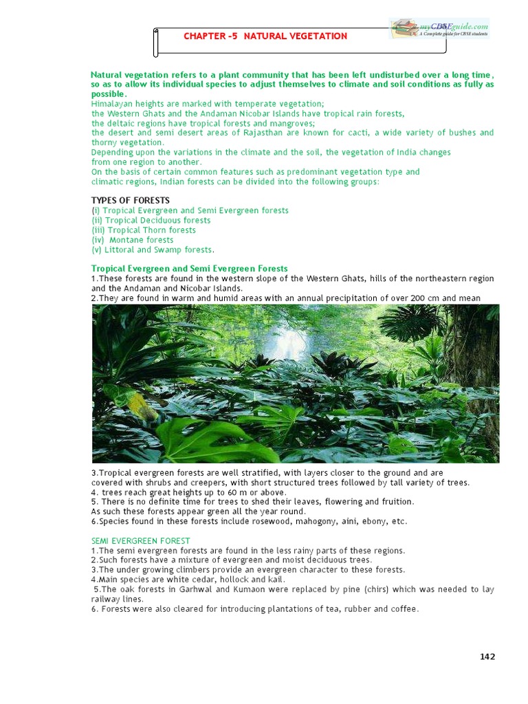 Chapter - 5 Natural Vegetation: Types of Forests | PDF | Forests | Tropics