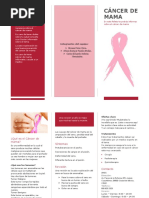 Tríptico de Cáncer de Próstata. | PDF | Cancer de prostata | Cáncer