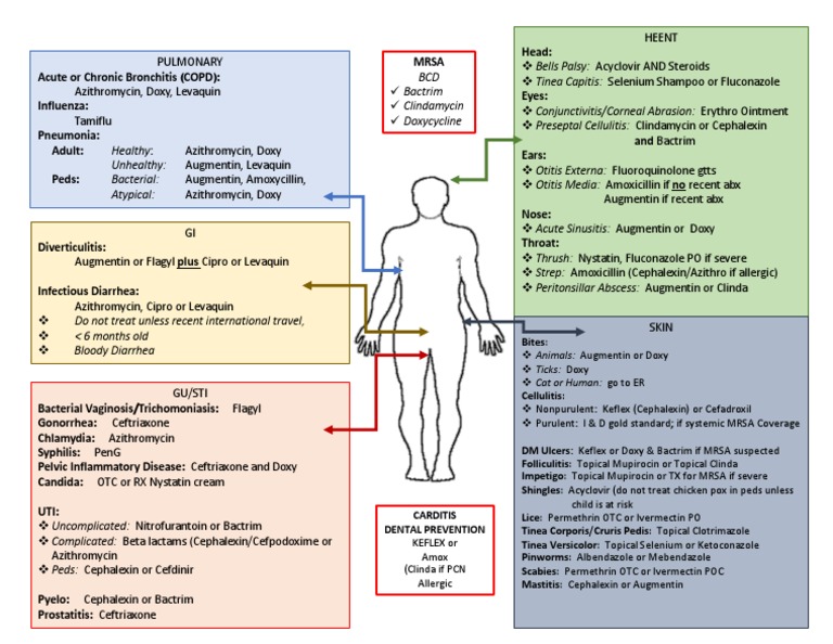 ABX by System | PDF | Methicillin Resistant Staphylococcus Aureus ...