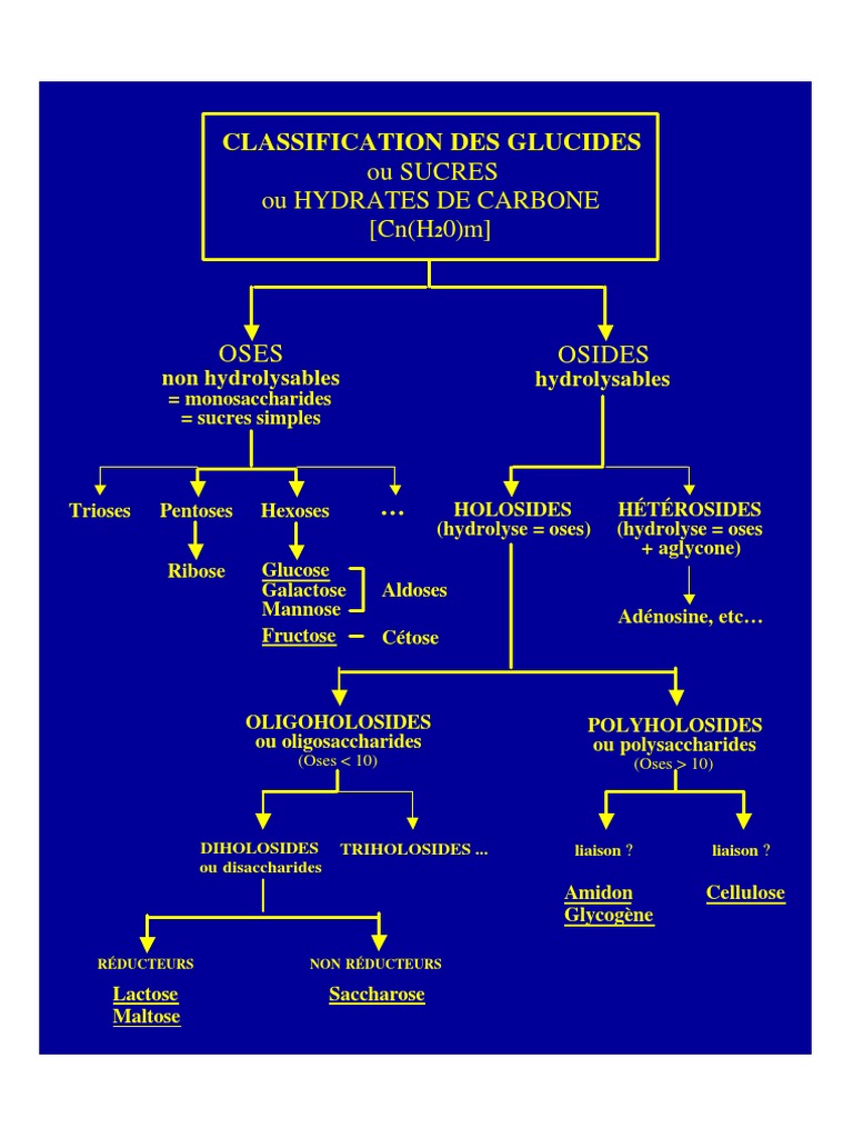 Classification des glucides et oses | PDF | Carburants renouvelables | Glucide