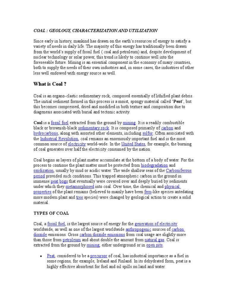 Coal (Theory) | PDF | Coal | Carbon Capture And Storage