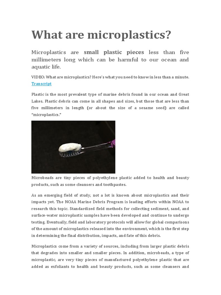 What Are Microplastics | PDF | Environmental Issues | Natural Environment