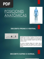 Términos de Lateralidad en Anatomía | PDF | Términos anatómicos de ...
