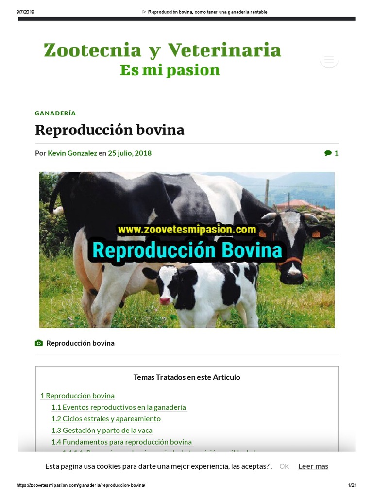 Reproduccion Bovina | PDF | Vacas | El embarazo