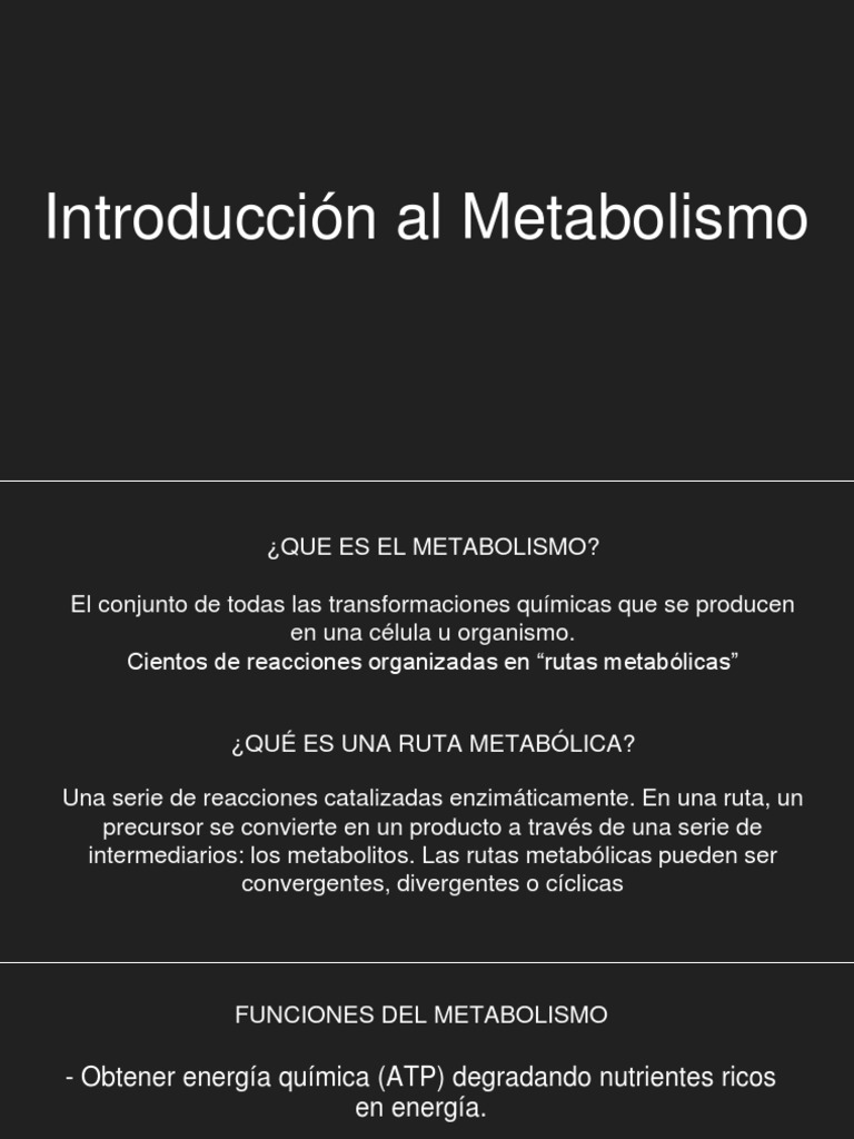 Introducción Al Metabolismo | PDF | Metabolismo | Glucógeno