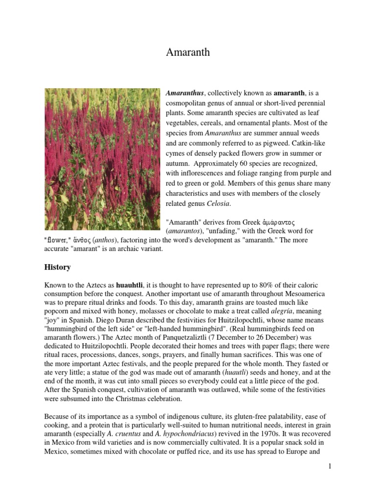 Amaranth | PDF | Foods | Crops