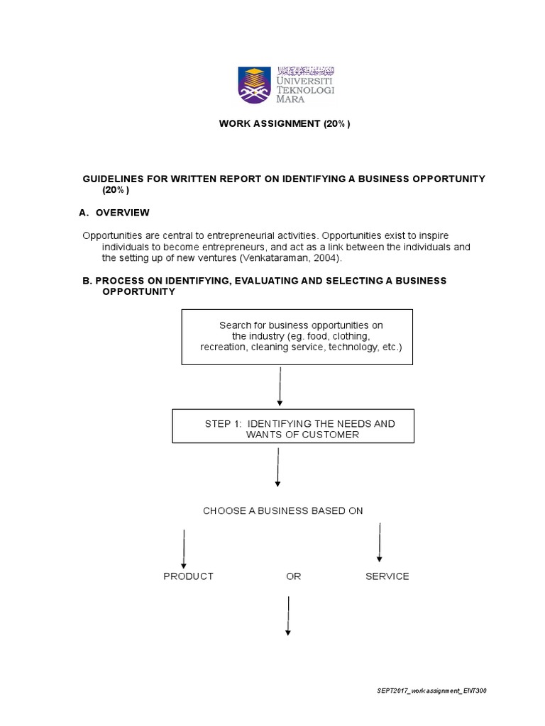 Work Assignment - Guidelines | PDF | Market Segmentation | Business Model