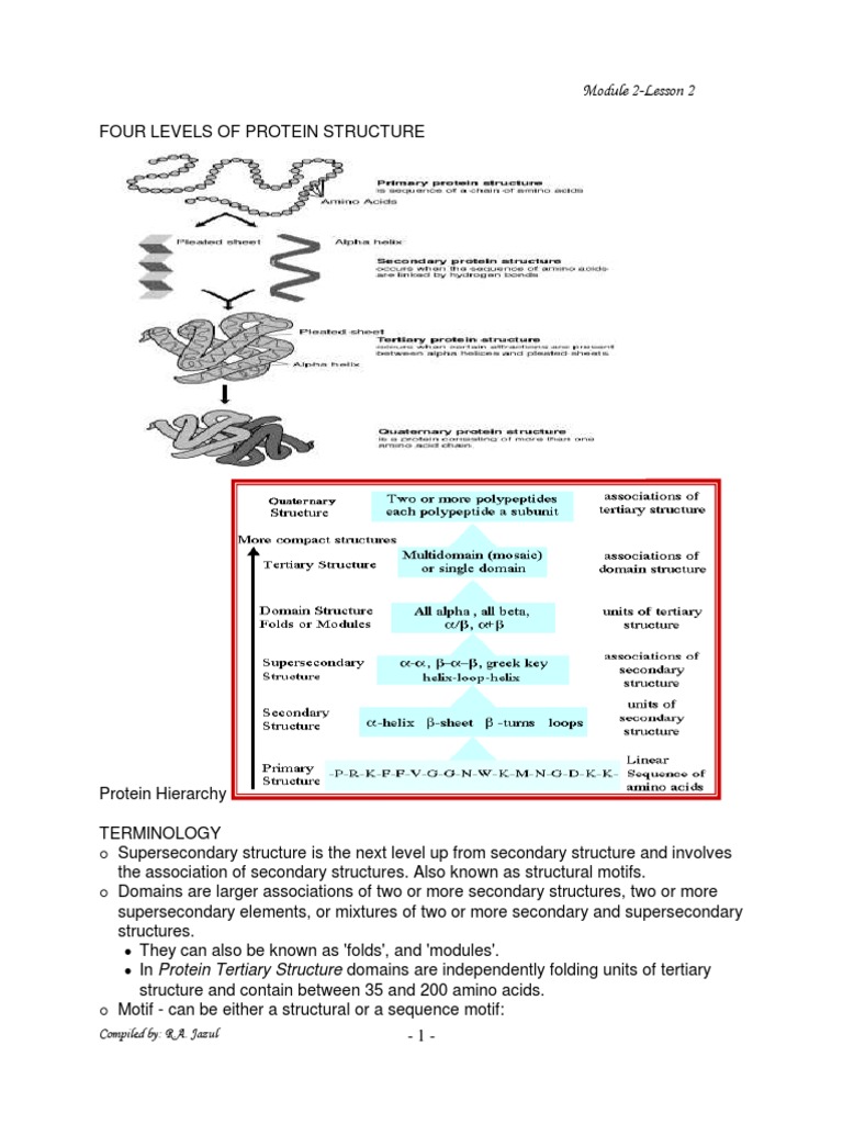 Biochemistry About Proteins | PDF | Protein Folding | Protein Structure