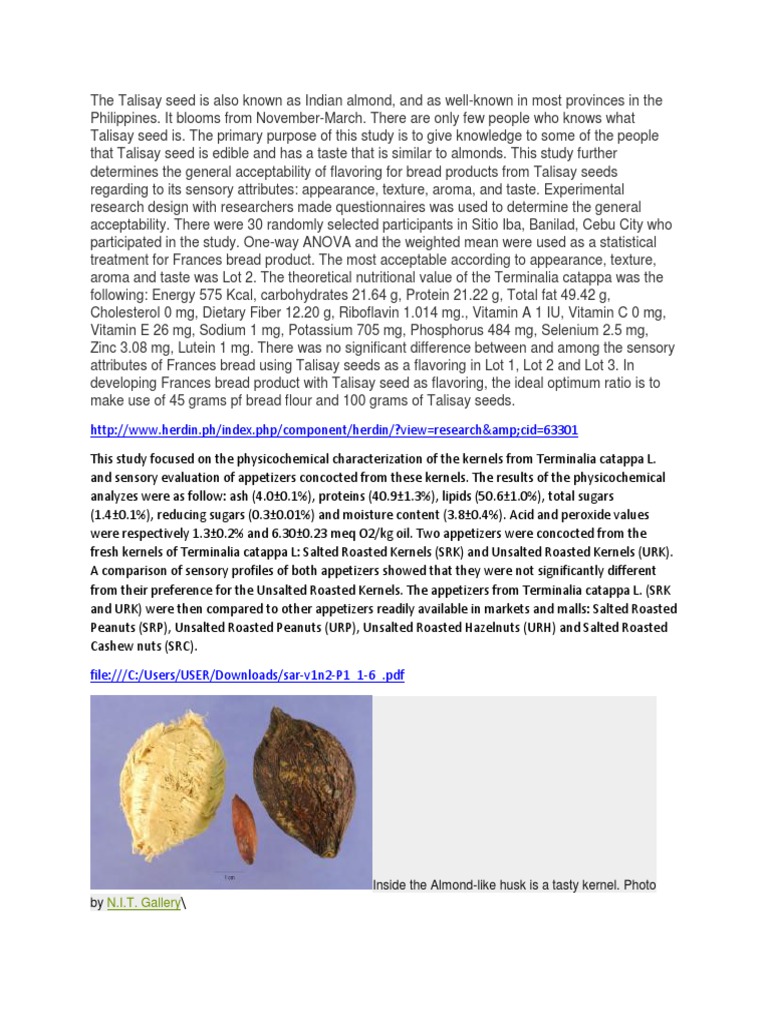 Talisay Seed: Edible Benefits and Uses | PDF | Almond | Breads