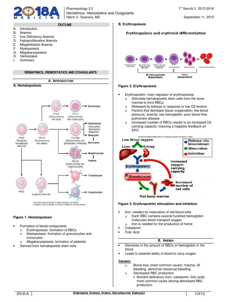 Hematinics, Hemostatics and Coagulants: B. Erythropoiesis | Anemia ...