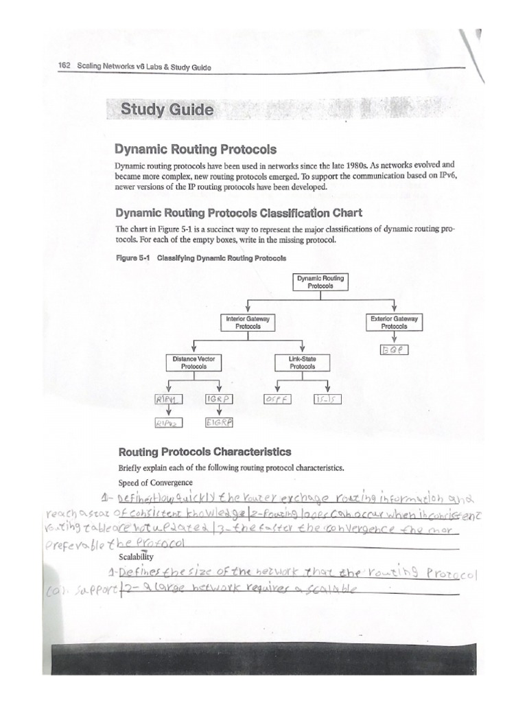 162 Scaling Networks v6 Labs & Study Guide | PDF
