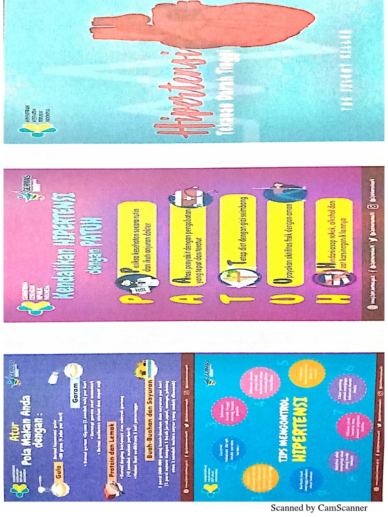 Leaflet Geriatri | PDF