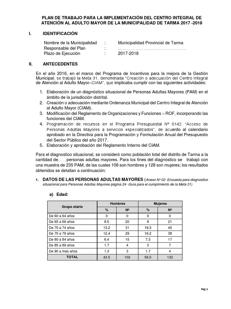 Plan Ciam 2017 | PDF | Presupuesto | Adultos