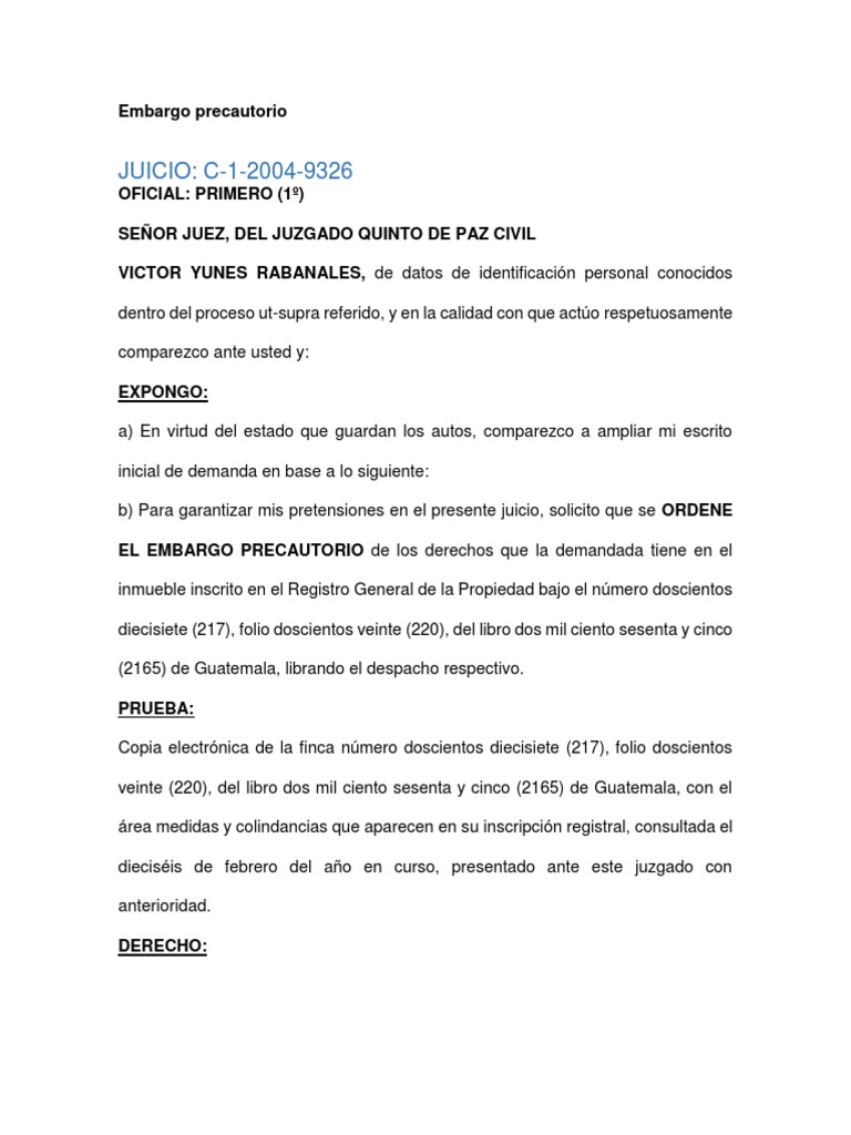Embargo Precautorio | PDF