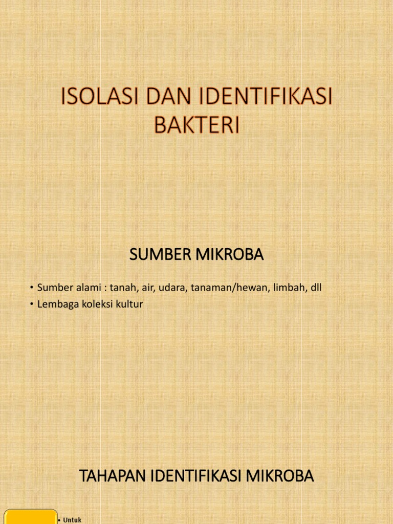 Isolasi Dan Identifikasi Bakteri | PDF