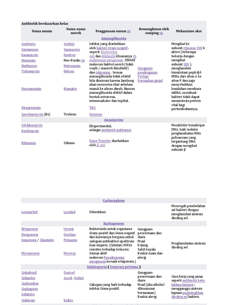 Antibiotik Berdasarkan Kelas | PDF