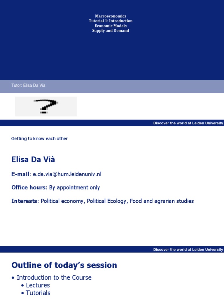 Principles of Economics Lecture and Tutorial | PDF | Demand Curve ...