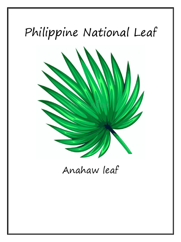 Philippine National Leaf | PDF